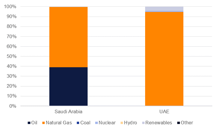 GCC economies announce net zero carbon targets | Emirates NBD Research