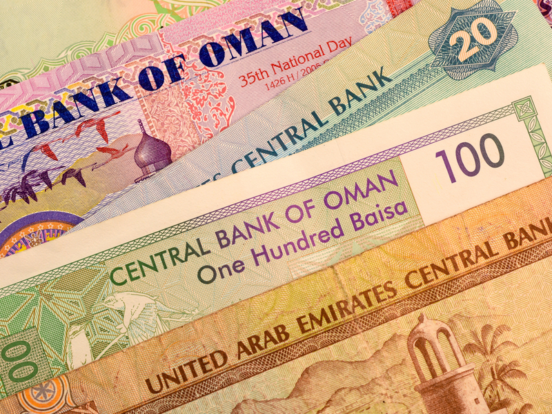 GCC credit in 2024 - a macro perspective | Emirates NBD Research